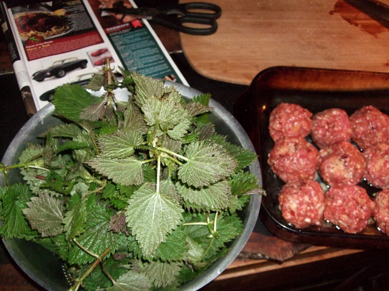 Scraping by on stinging nettles - Salon.com