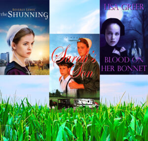 Roll in the hay: The rise of the Amish romance novel - Salon.com