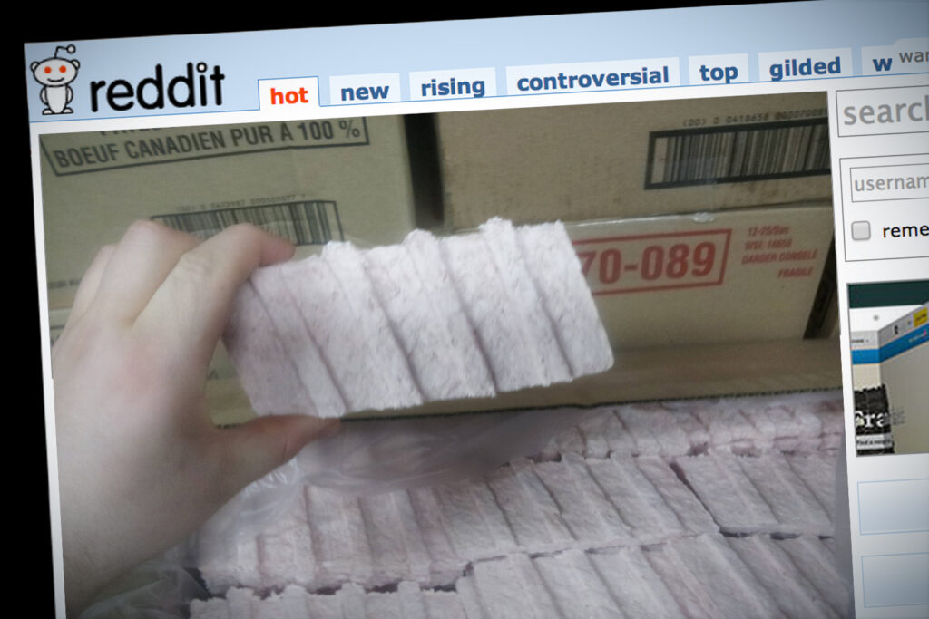 Alleged "raw McRib" is incredibly unappetizing - Salon.com