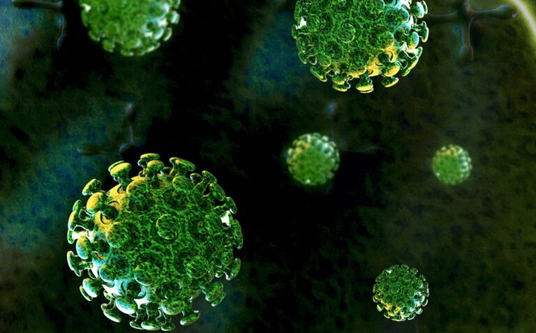 The deadly MERS virus has officially made it to the United States ...
