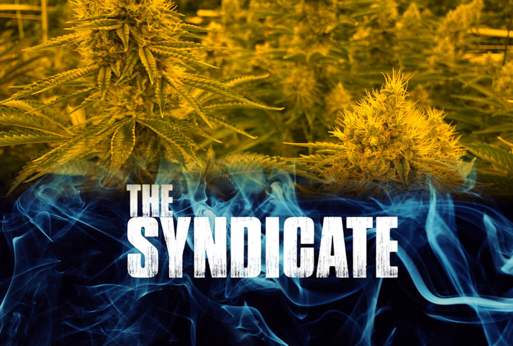 From skydiving planes to DEA moles, "The Syndicate" explores the fall ...
