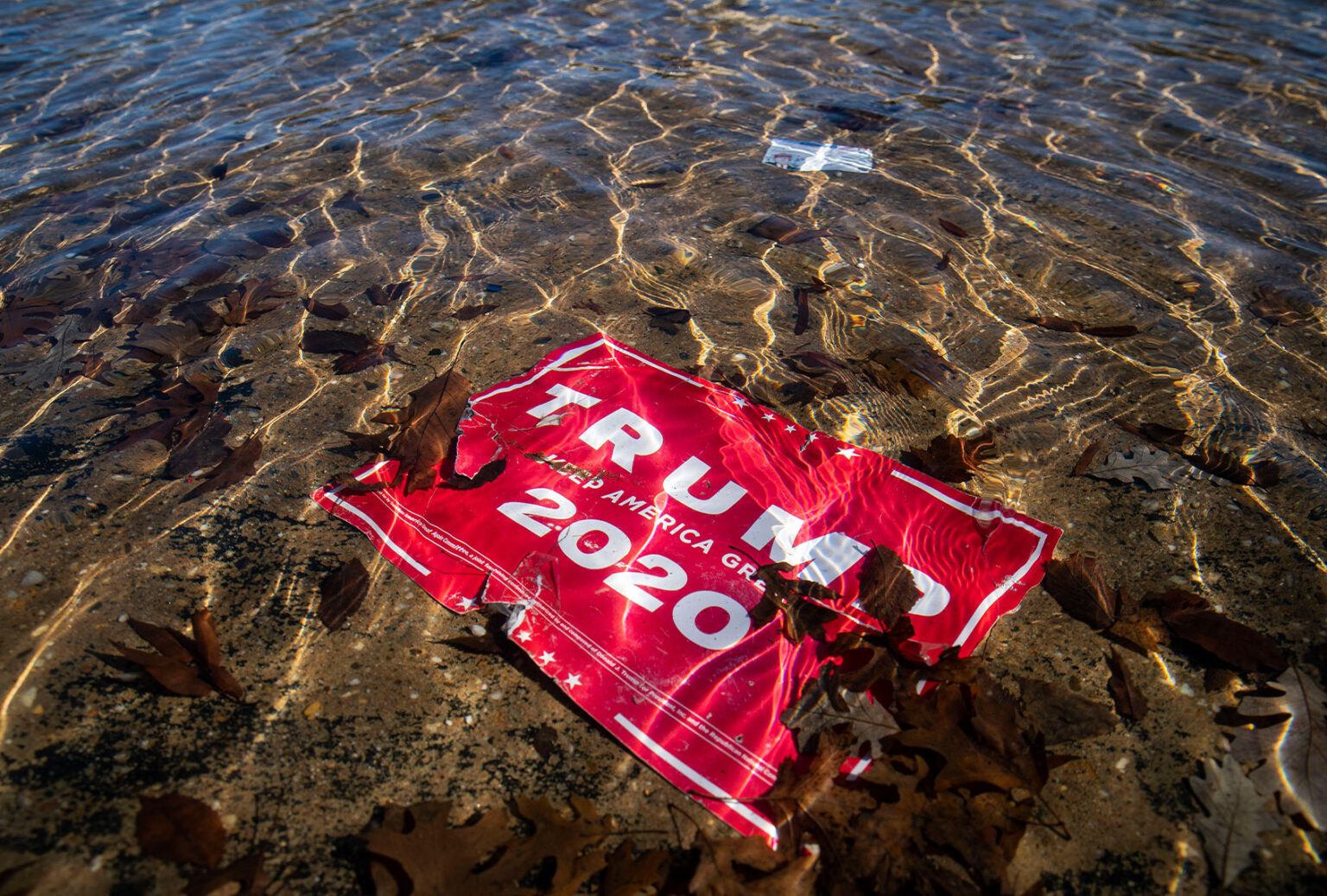 "Depressed, disgusted and horrified": These lifelong Republicans say ...