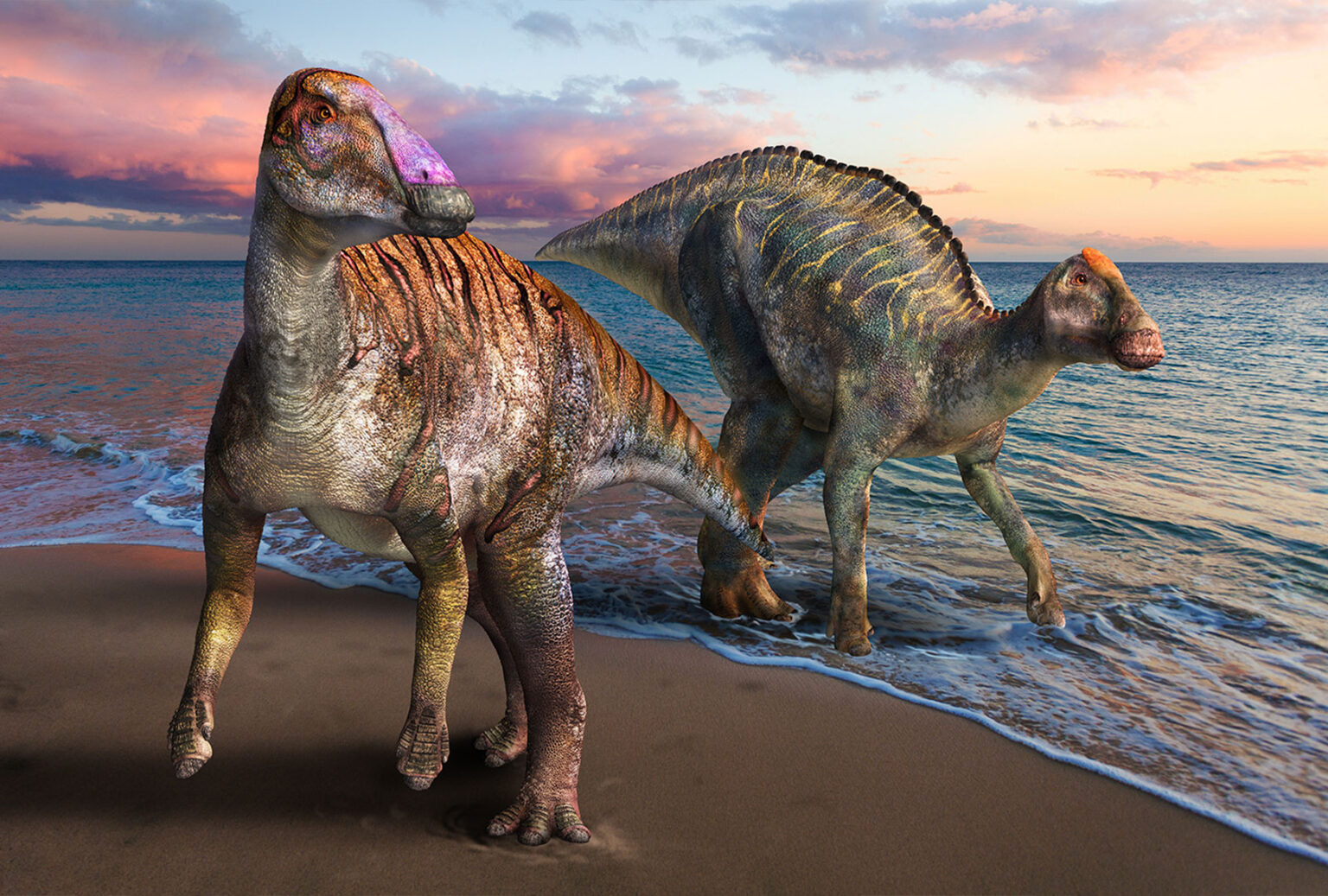 Meet the "caribou of the Cretaceous": How ancient hadrosaurs spread ...