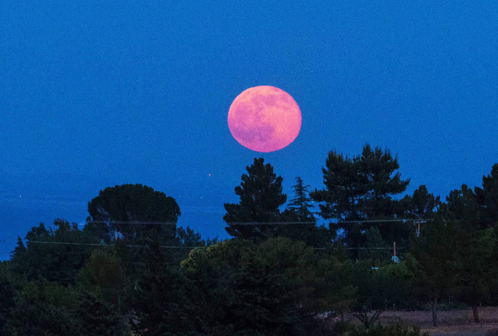 Strawberry Color Moon
