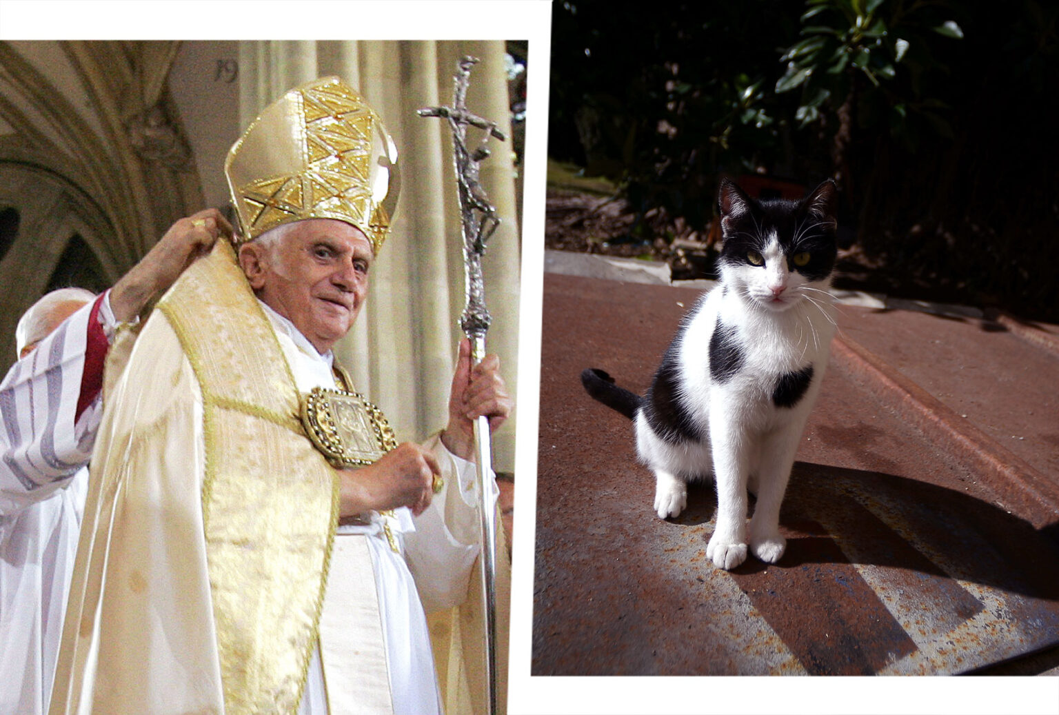 5 Popes who formed a holy bond with their animal companions, from cats ...