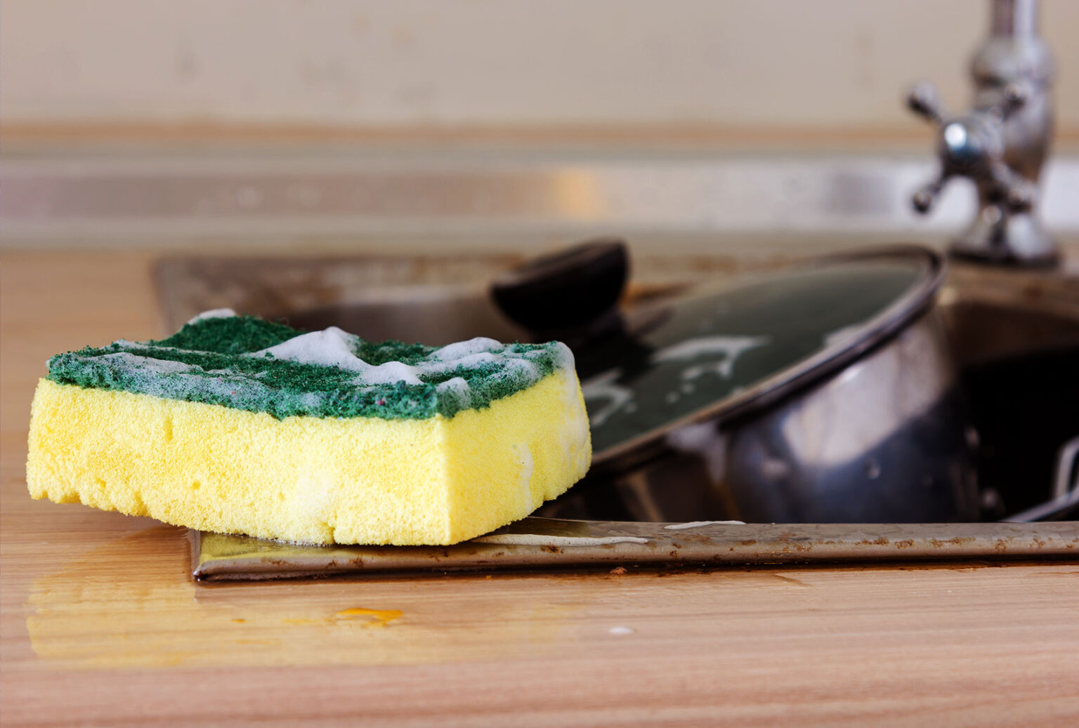 This common kitchen tool is a breeding ground for dangerous bacteria ...