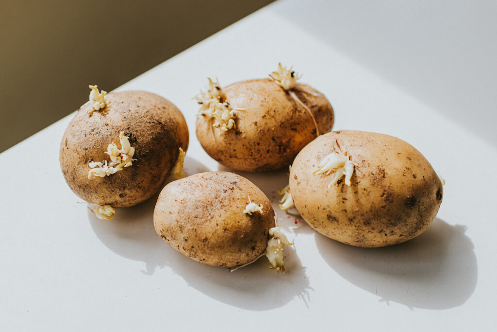 What was behind Australia’s potato shortage? Wet weather and hard-to ...