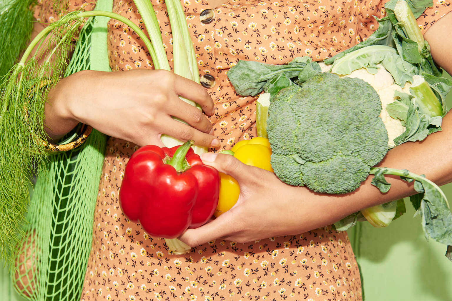 Writer Nava Atlas reflects on the (vegan) return of her cult-classic ...