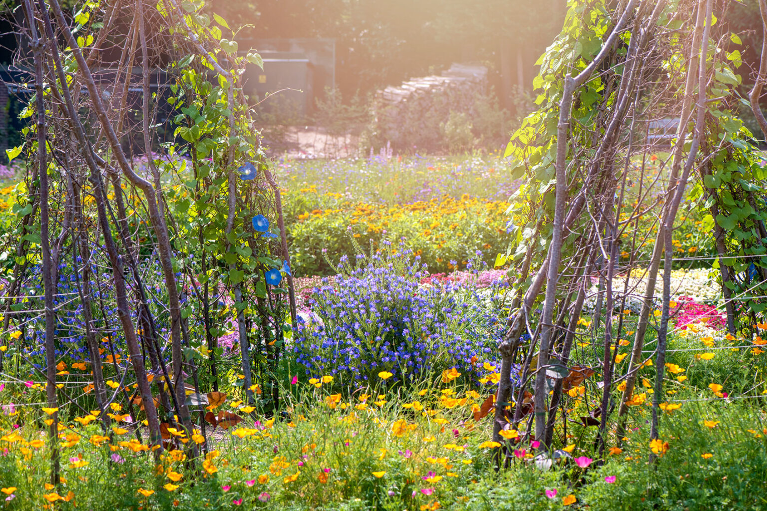 How to garden through climate change - Salon.com