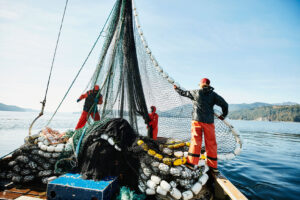 Untangling catch shares with Lee van der Voo - Salon.com