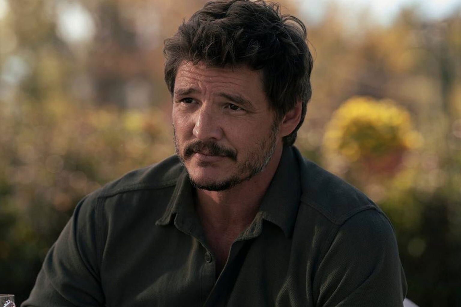 What our reverence for Pedro Pascal's daddy era says about us - Salon.com