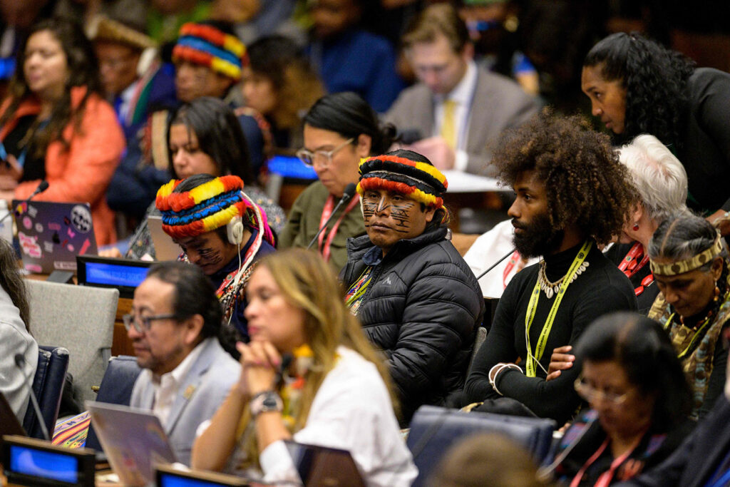 UN: Protecting Indigenous health also protects the environment - Salon.com
