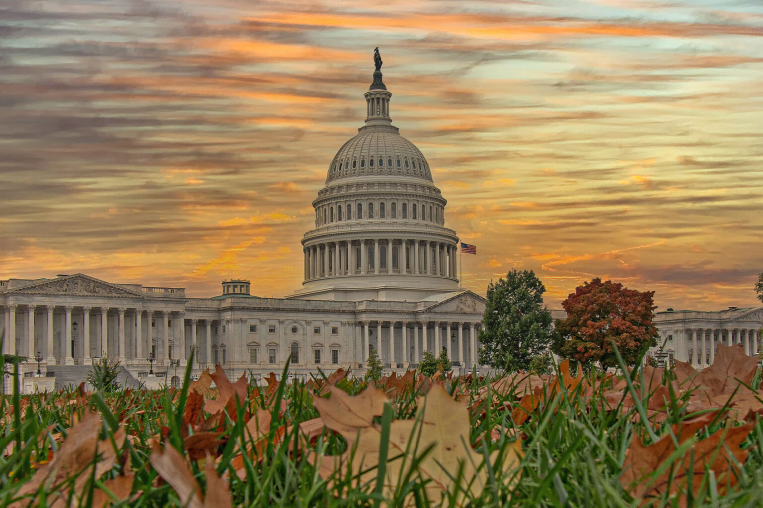 Saving democracy from the ground up: David Pepper on how to fight the ...