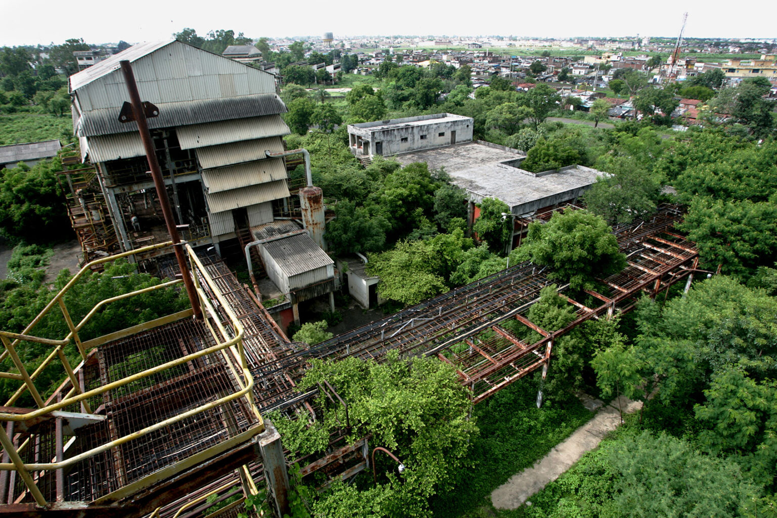 Pesticides in the womb: New research shows how the Bhopal gas disaster ...