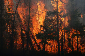 As nature ignites, wildfires are becoming more common. Here's how we ...