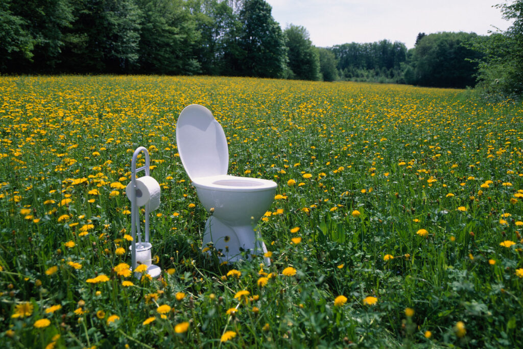 Shelf awareness: Experts explain why you should be inspecting your poop ...