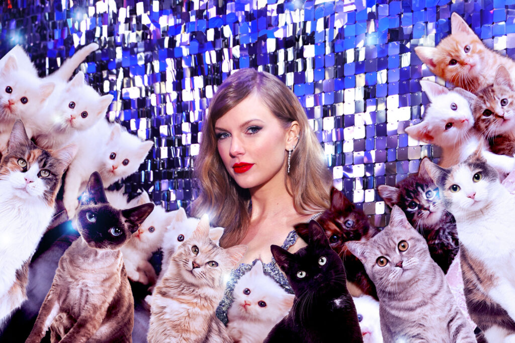 Taylor Swift gets it: Cats are better than (some) men - Salon.com