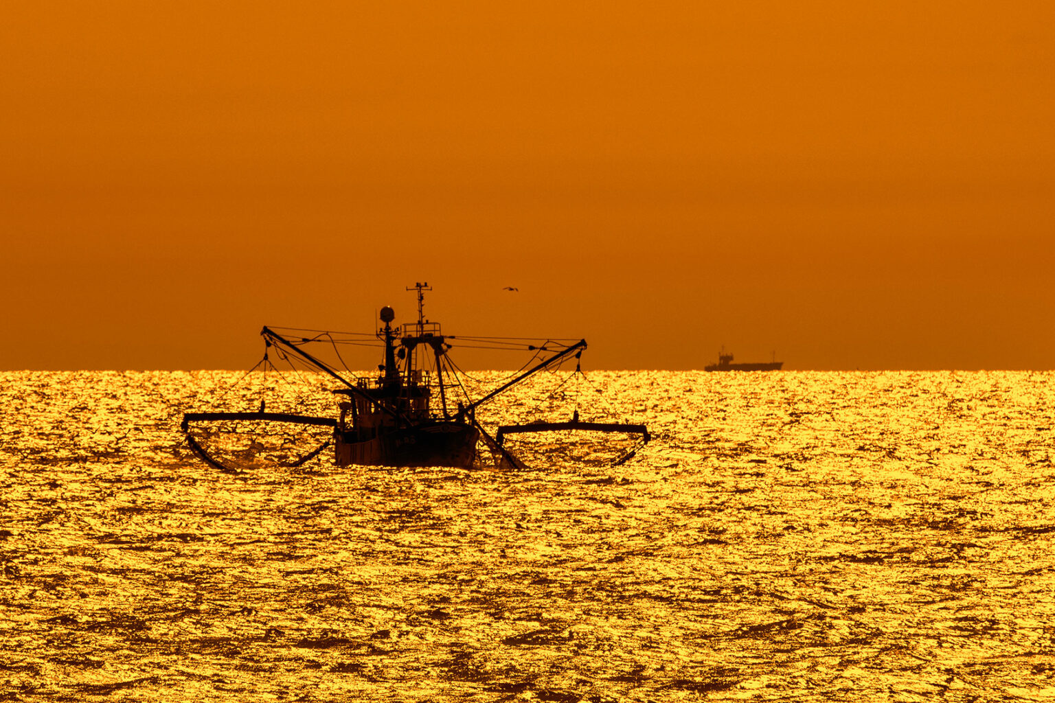 Trawling for trouble: How fishing along the seafloor significantly ...