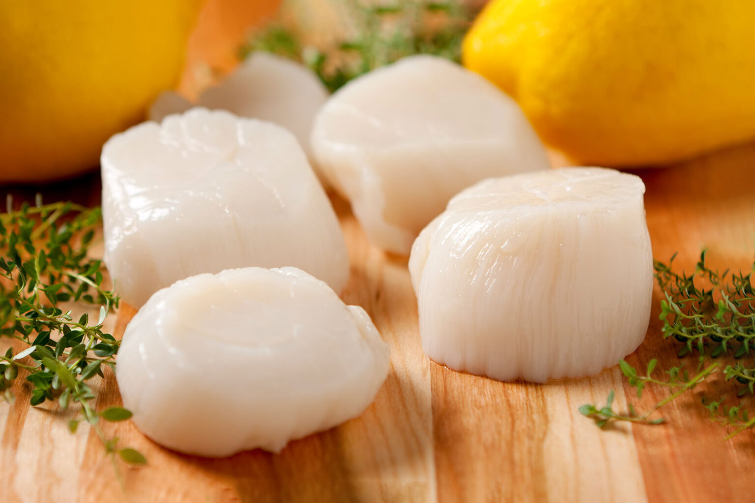 The sauce in this rich, filling scallop dish could "make a piece of ...