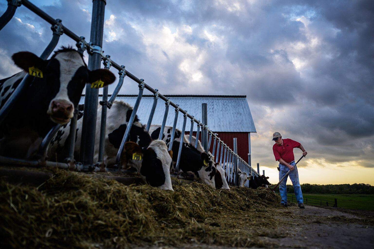 A year-end crisis: Farm Bill set to expire without agreement on key ...