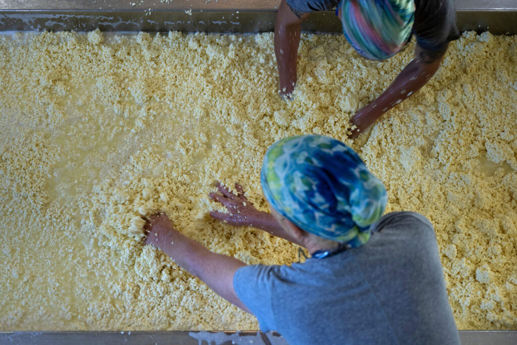Huge volumes of whey go to waste. We could do much more with this ...