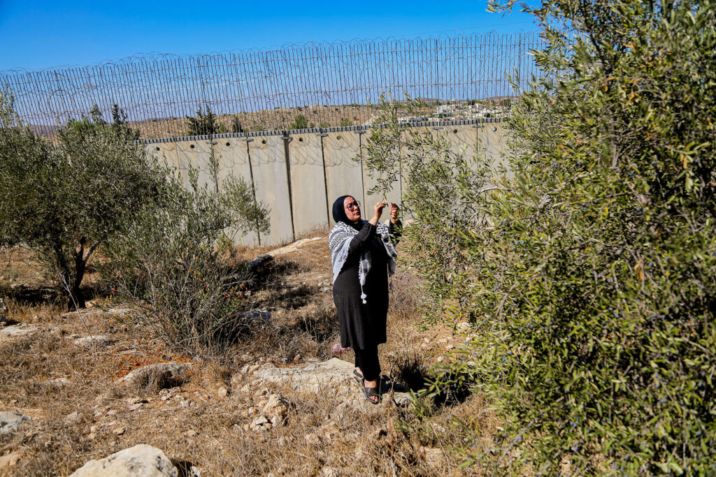 Israel says it's "making the desert bloom" by planting forests. For ...
