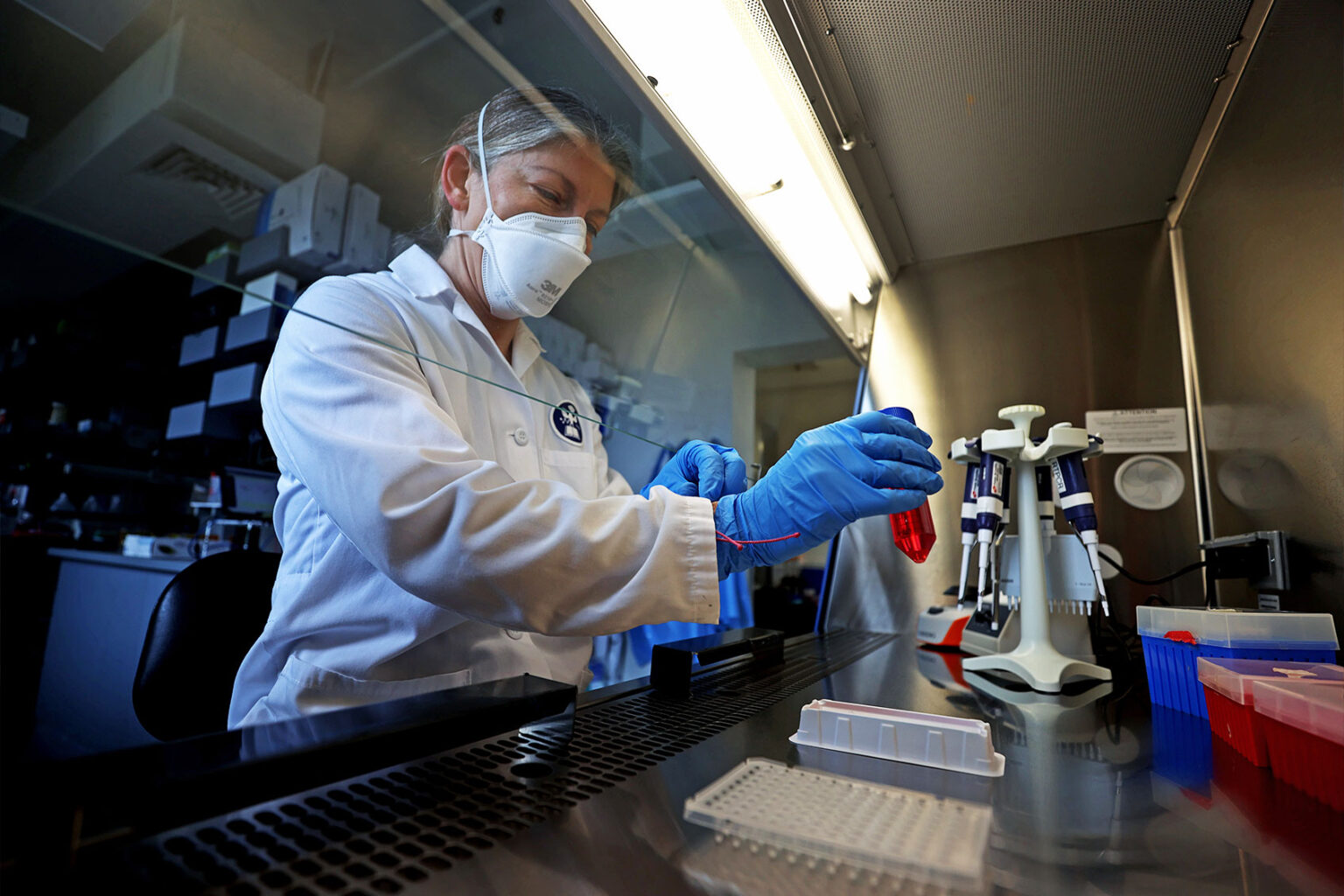 Bird flu hospitalizes person in Louisiana, the first severe infection ...