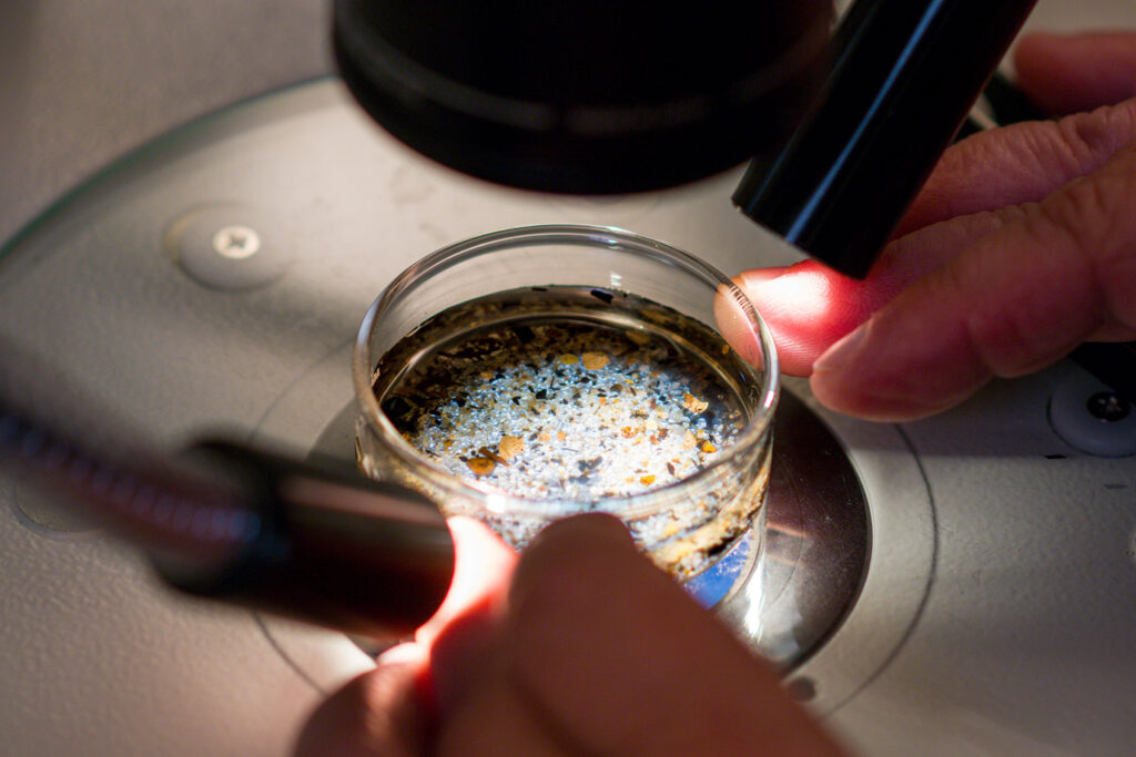 Study finds microplastics in our brains are accumulating, with unknown ...