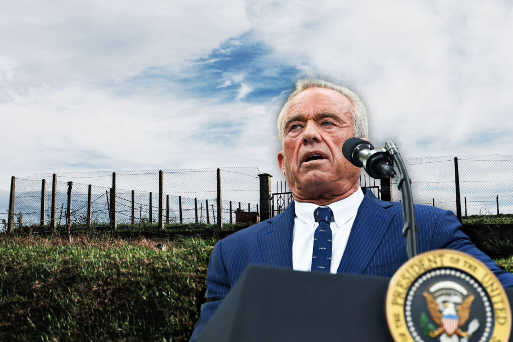 RFK's plan to make America healthy again? Send people with mental ...