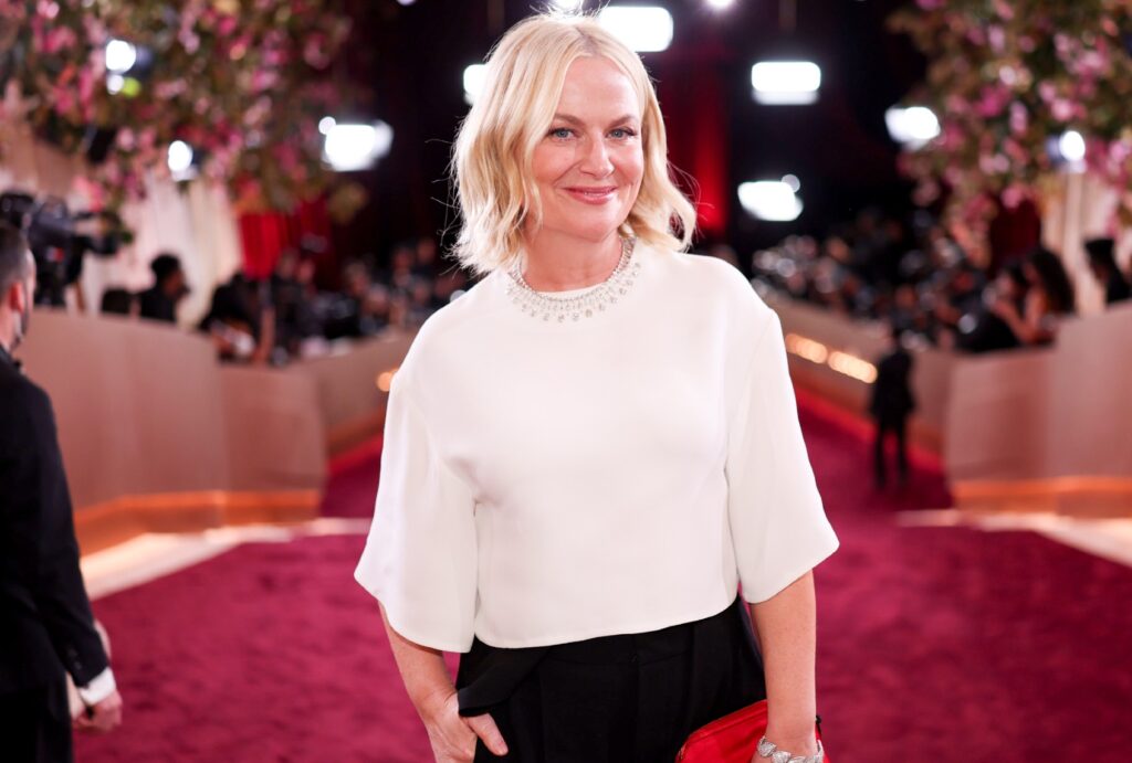 The vital joy of Amy Poehler's "Good Hang" - Salon.com