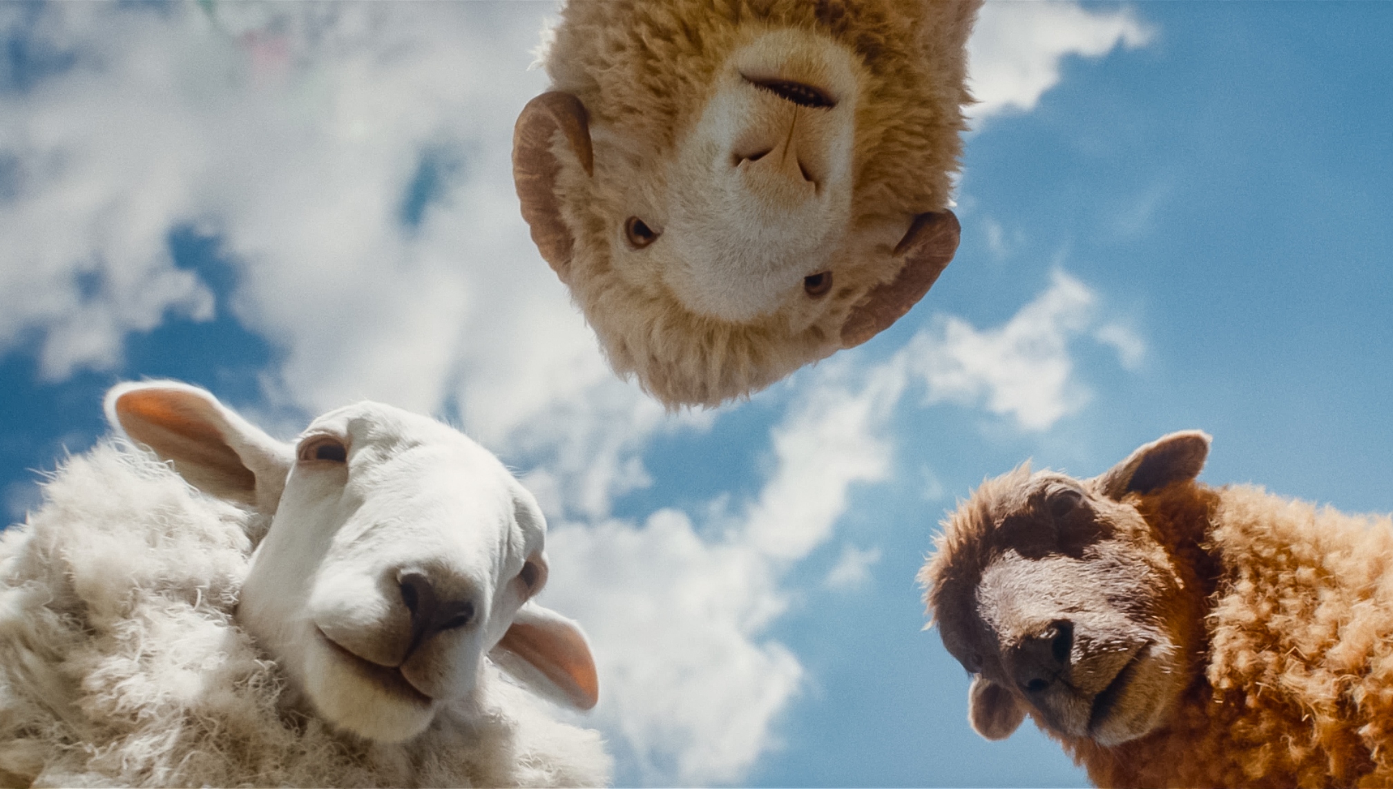 "The Sheep Detectives" cloaks an urgent message in woolly clothing ...